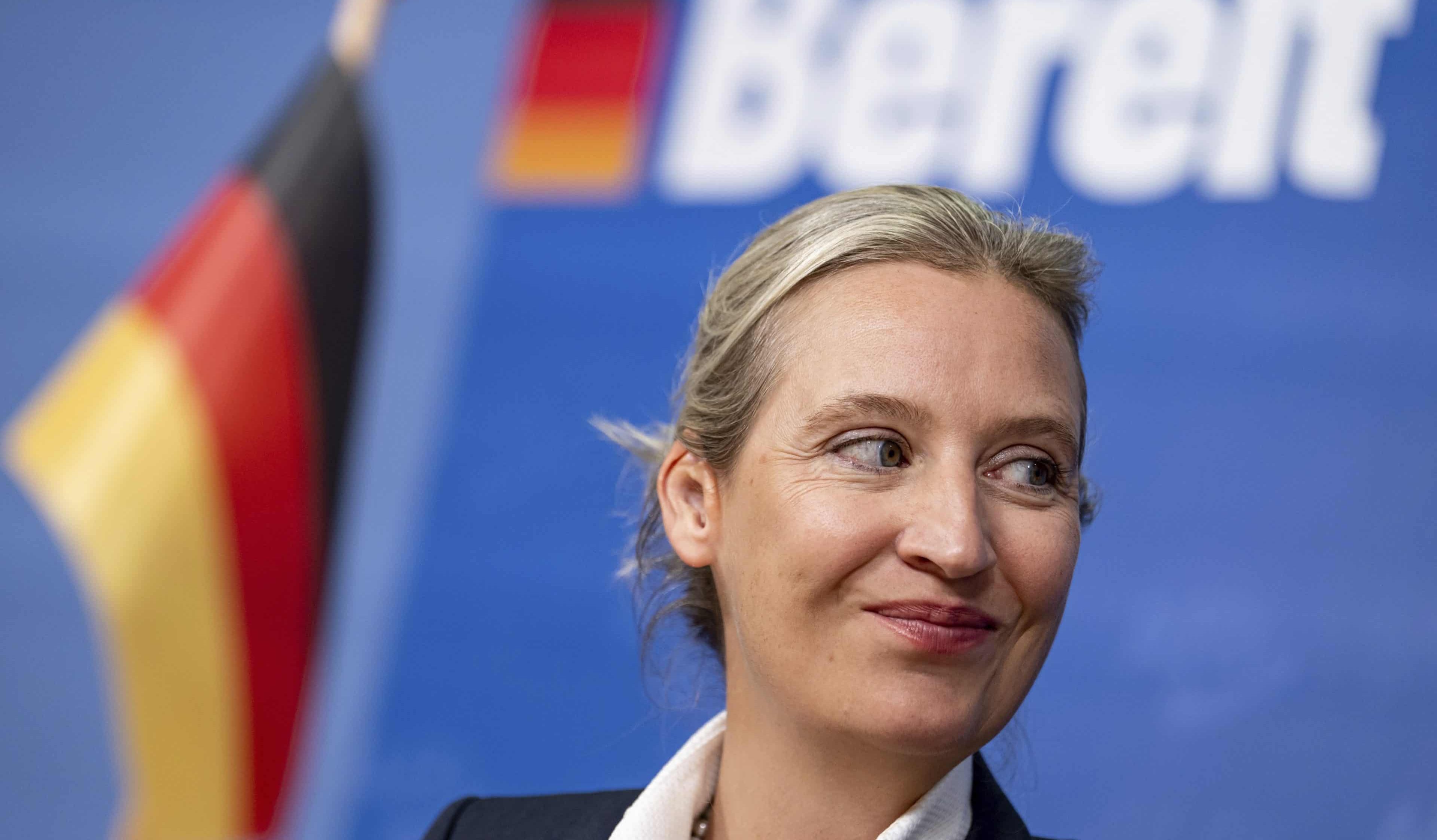 AfD-leder krever masseutvisninger av migranter